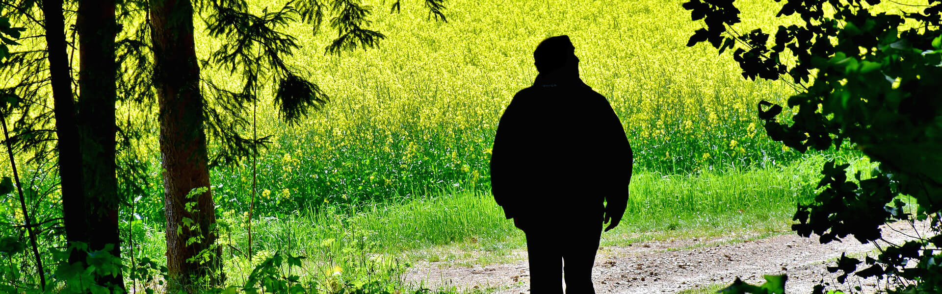 About Marshall Rosenberg - PuddleDancer Press